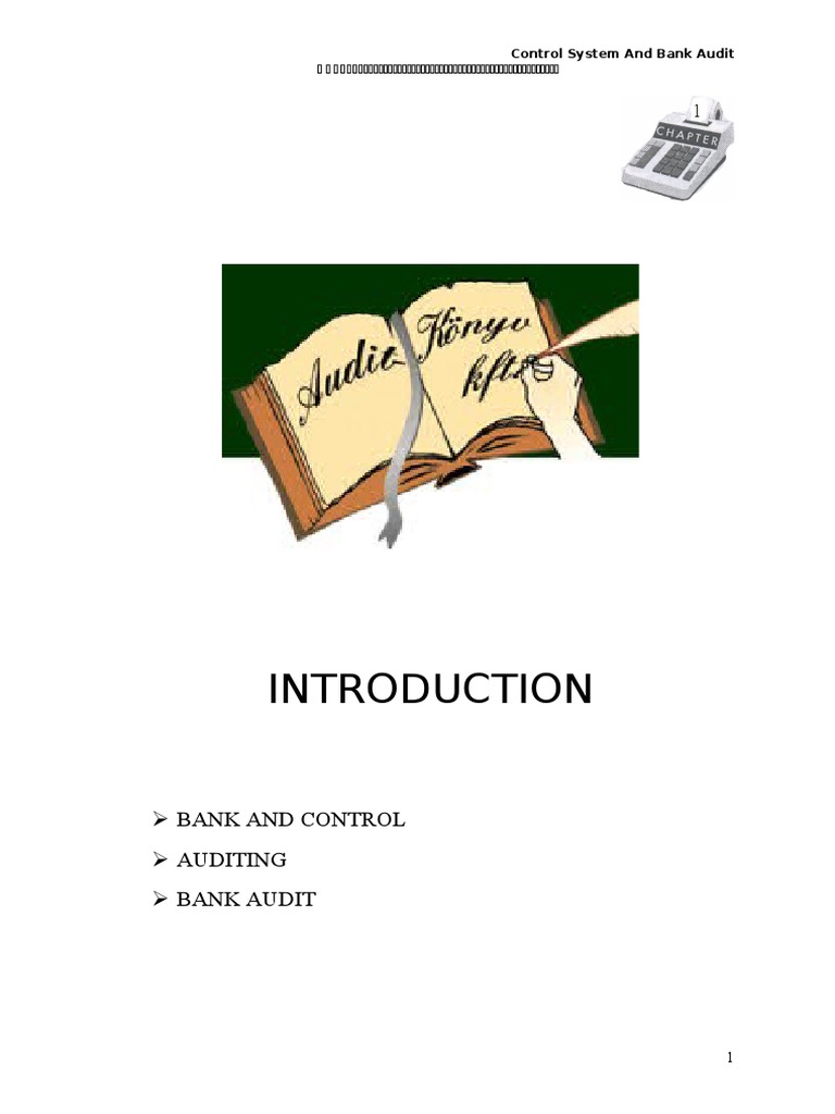 Bank Audit Control Systems Overview | PDF | Financial Audit | Audit