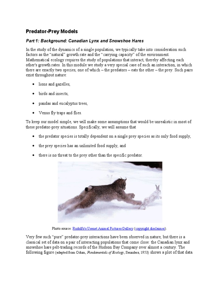 Predator Prey Model | PDF | Predation | Teaching Mathematics