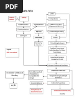 Tanner Stages of Puberty Development | PDF | Puberty | Human Reproduction