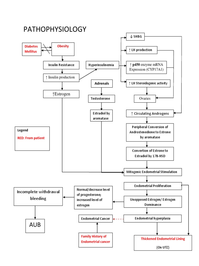 Pathophysiology Aub Patient | PDF | Estrogen | Estradiol