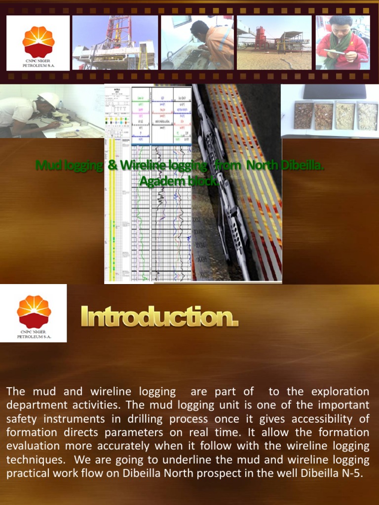 Mudlogging | PDF | Oil Well | Geotechnical Engineering
