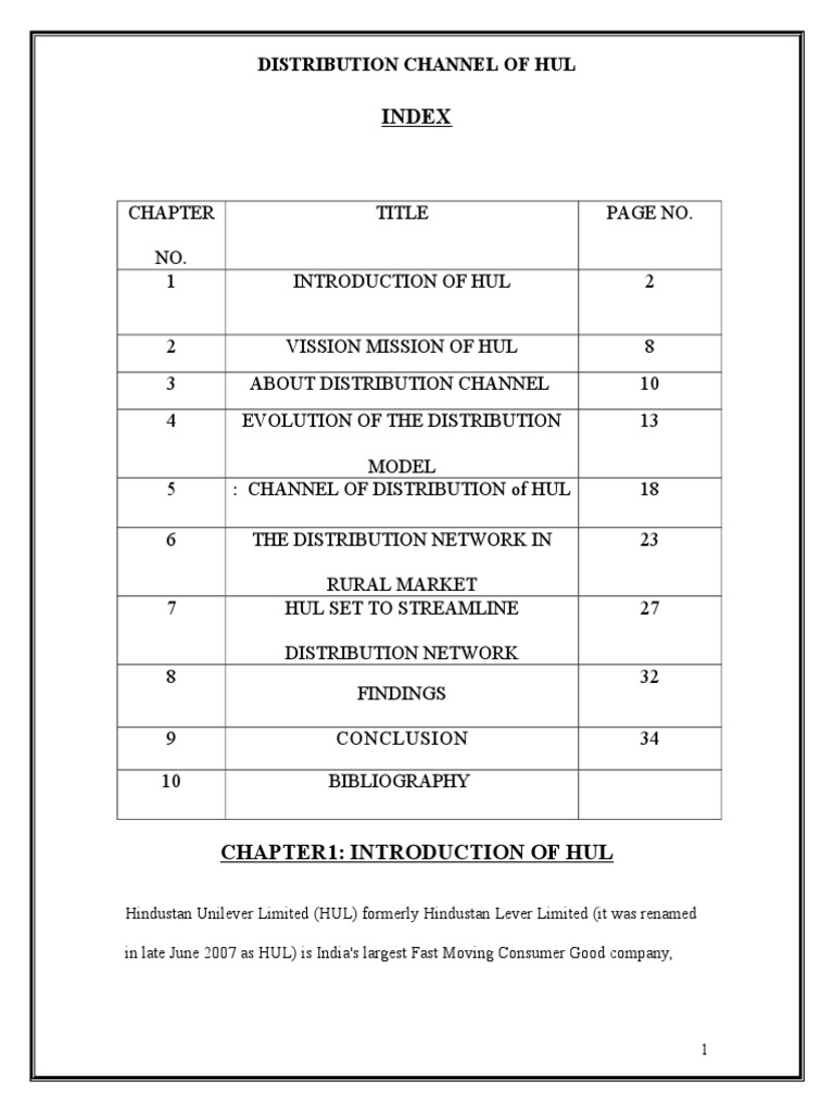 HUL Distribution Channel Overview | PDF