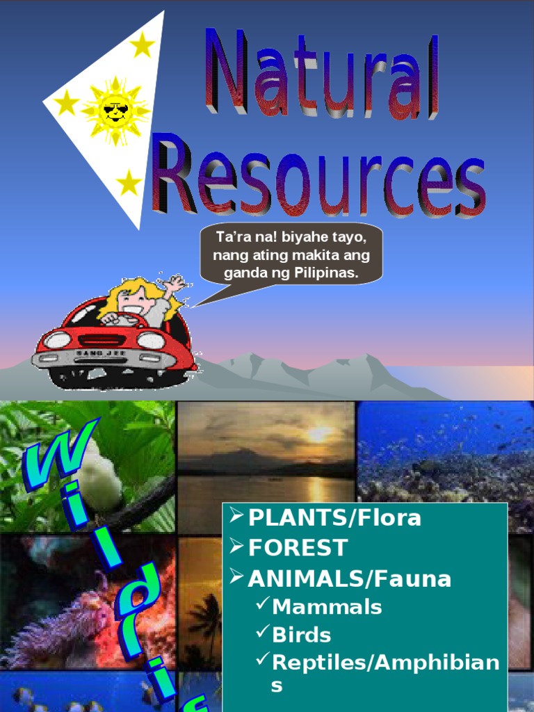 Philippines'Natural Resources Org | PDF | Technology & Engineering