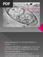 Retortamonas Intestinalis | PDF | Especialidades Medicas | Microbiología