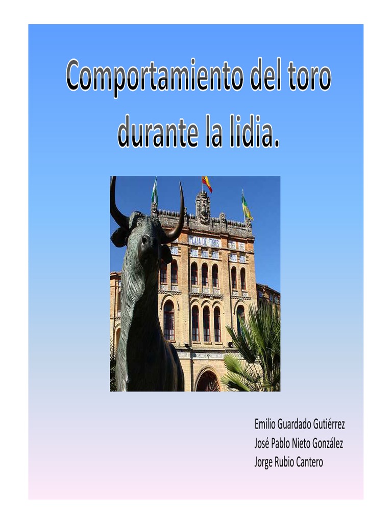 Comportamiento del toro bravo en la lidia | PDF | Toreo | Vacas