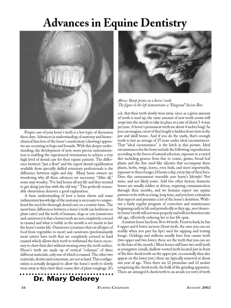 Advances in Equine Dentistry: Dr. Mary Delorey | PDF | Tooth | Horses
