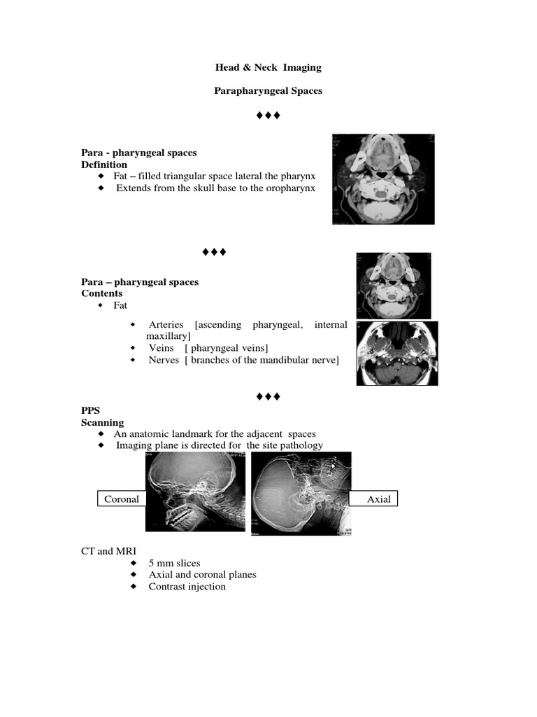 Supra Hyoid Neck | PDF | Common Carotid Artery | Primate Anatomy