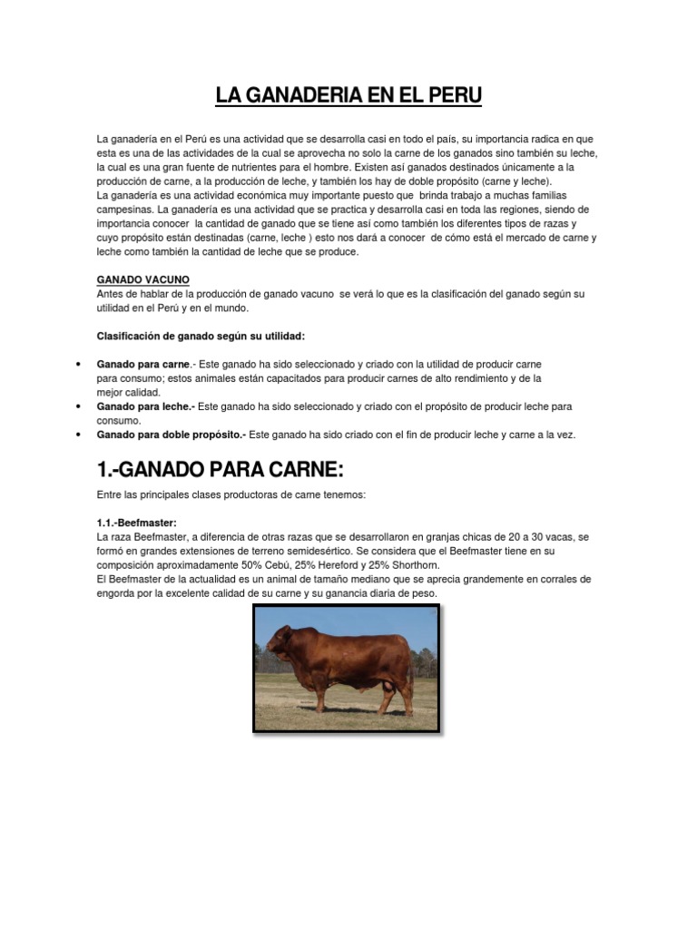 Ganaderia de Vacunos en El Peru | PDF | Carne | Vacas