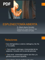 Incisión Rocky Davis | PDF | Medicina CLINICA | Anatomía