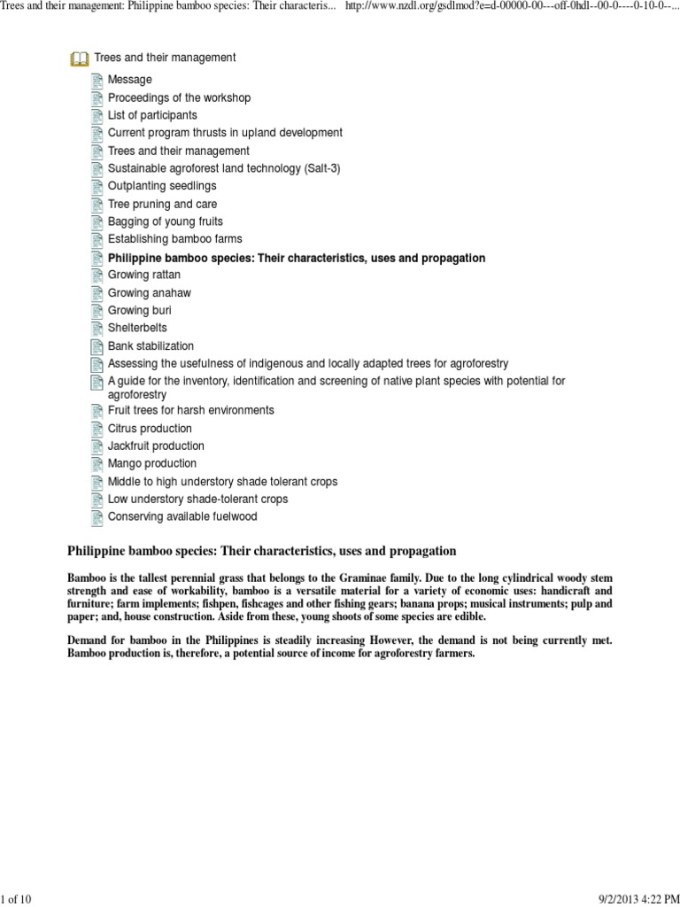 Philippine Bamboo Management Guide | PDF | Bamboo | Plant Nursery