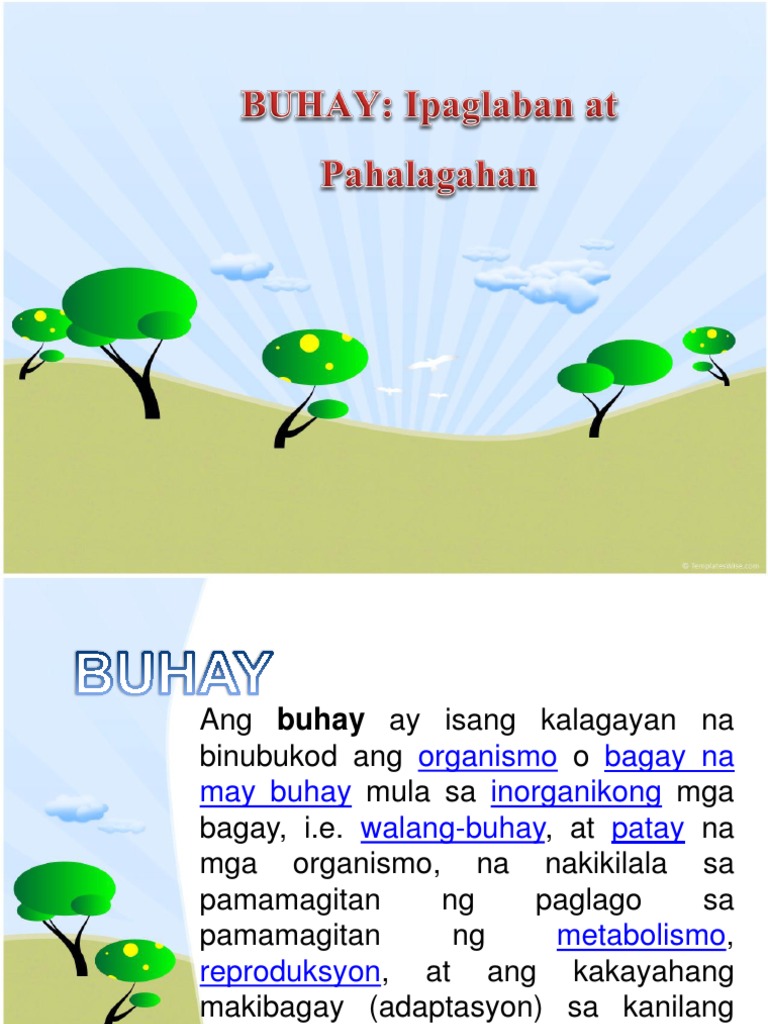 Buhay | PDF