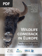 Bto Bird Species Codes | PDF