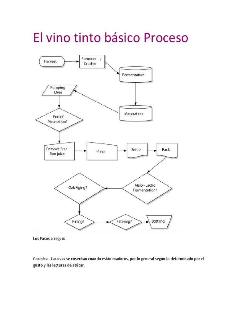 Proceso de Elaboración Del Vino Tinto | PDF | Vino | Frutas comestibles