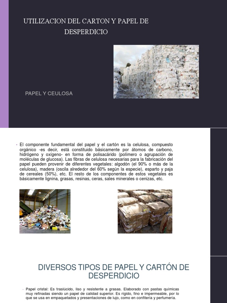 Utilizacion Del Carton y Papel de Desperdicio | PDF | Papel | Materiales