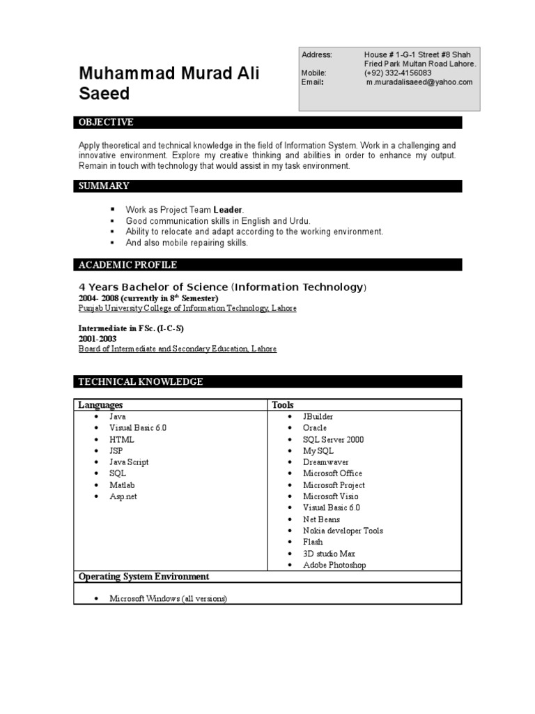 Murad CV | PDF | Information System | Databases