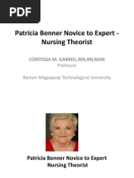 Novice To Expert P Benner | PDF | Expert | Nursing