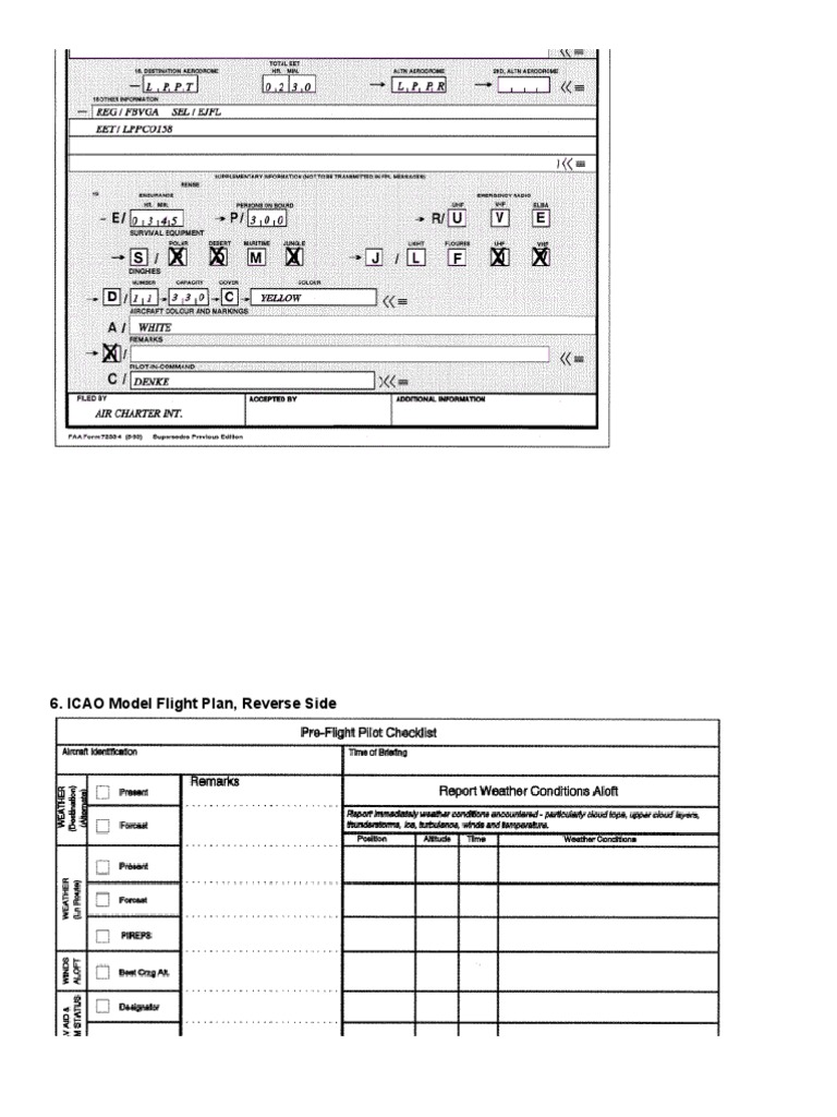Flight Plan | PDF