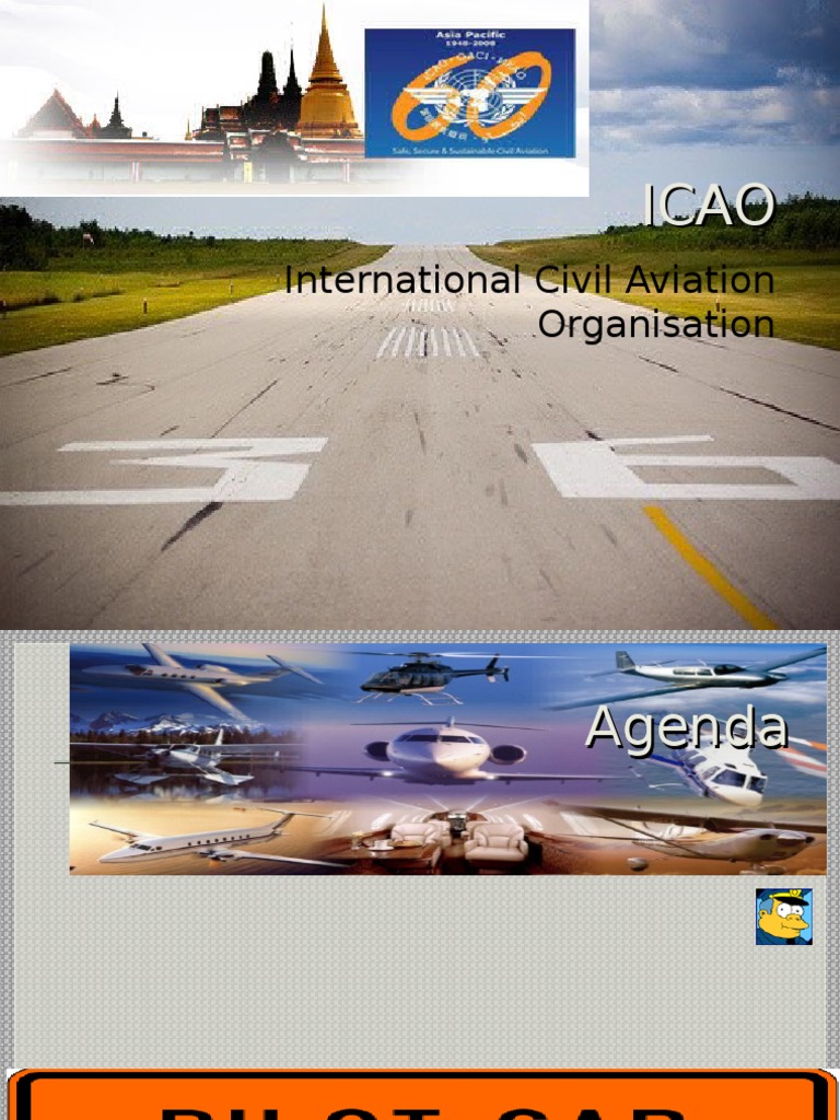 ICAO | PDF | Aviation | Government