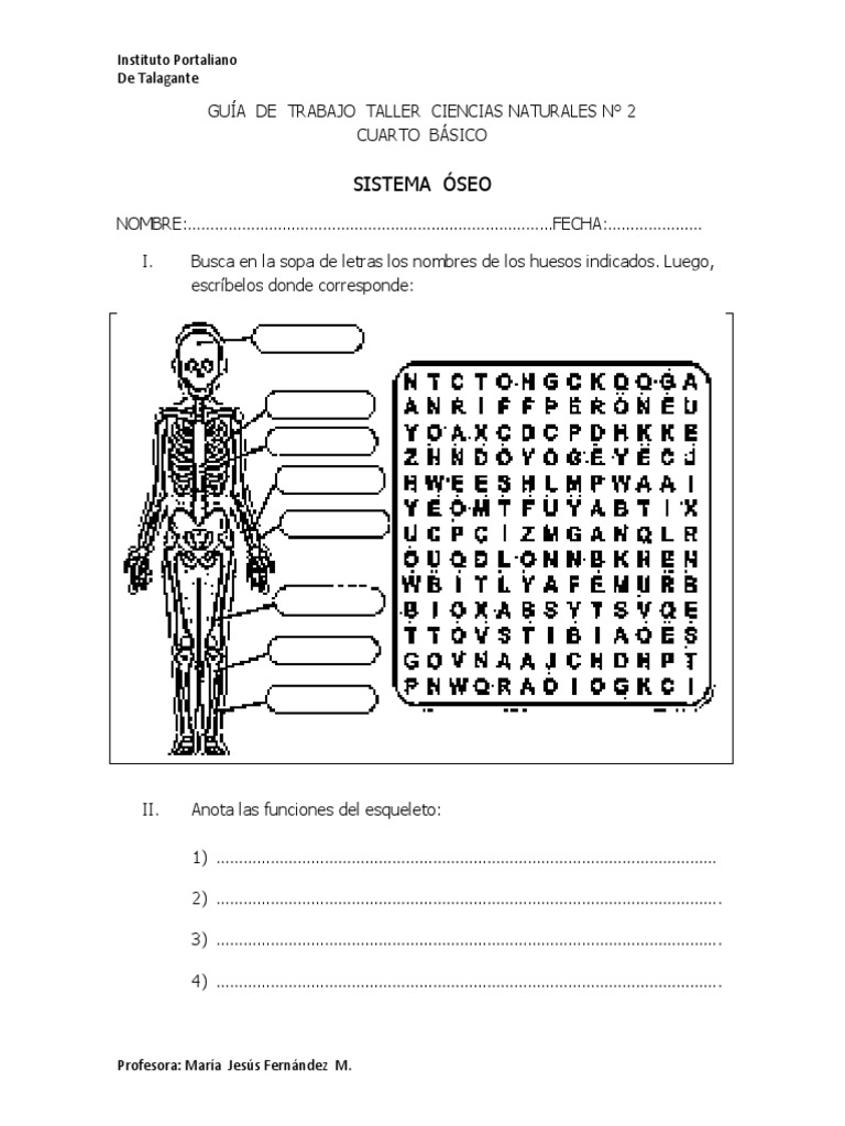 GUÍA TALLER CIENCIAS NATURALES 4° Sistema Óseo | PDF | Ciencia de la ...