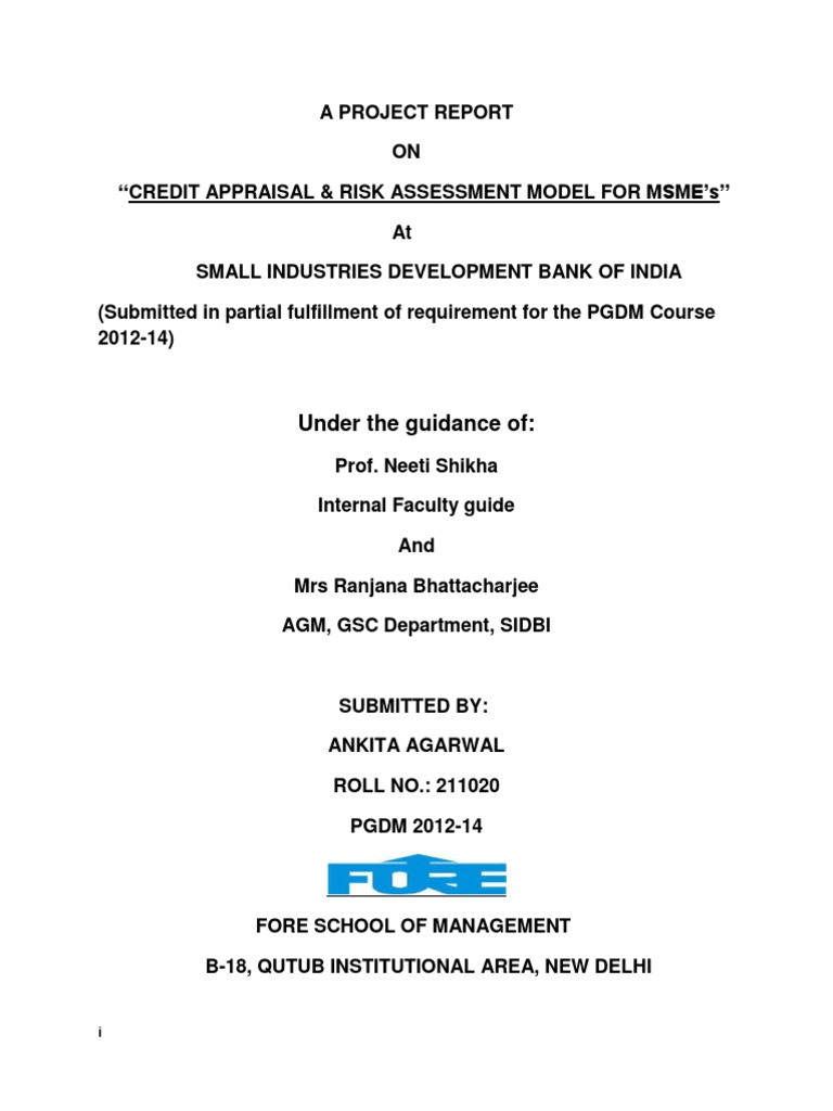 CREDIT APPRAISAL & RISK ASSESSMENT MODEL FOR MSME's | PDF | Credit ...