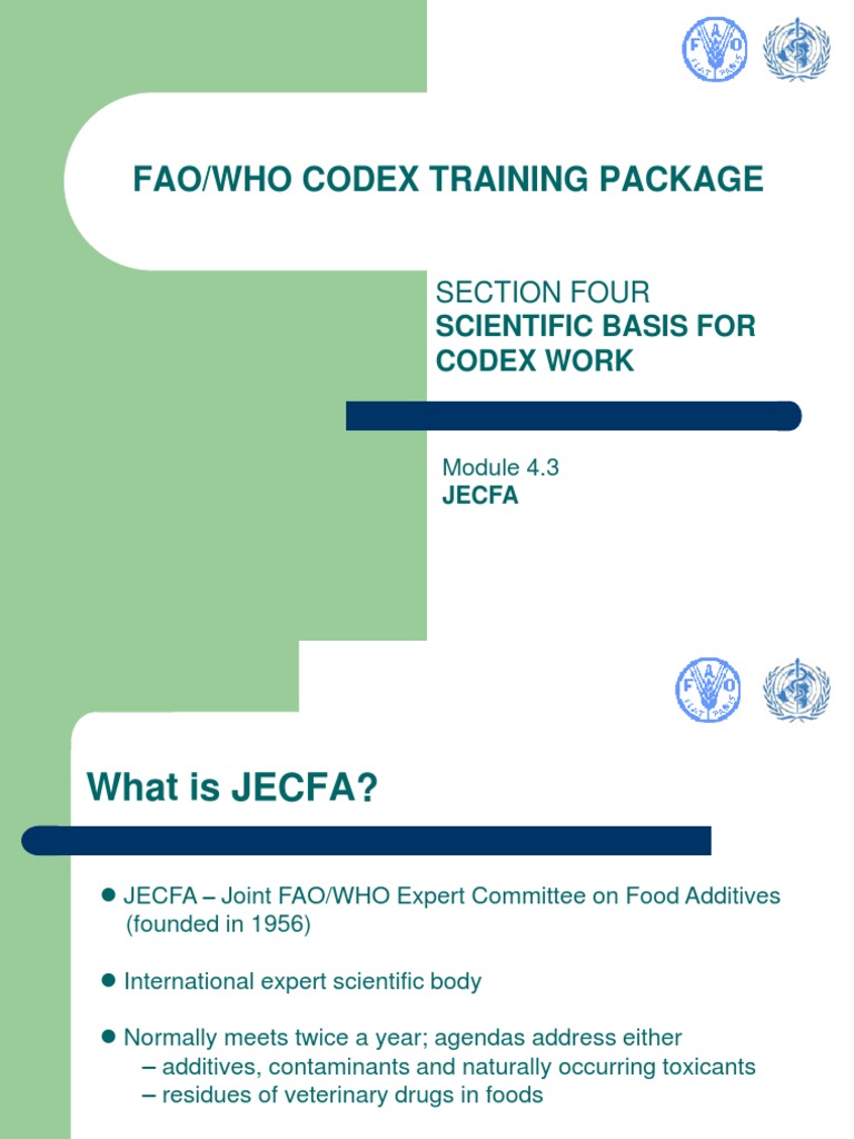 Section Four - 4.3 JECFA-Rev - Final - DTP | PDF | Food And Agriculture ...