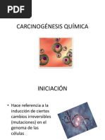 Check Up Básico Q45 en Chopo | PDF