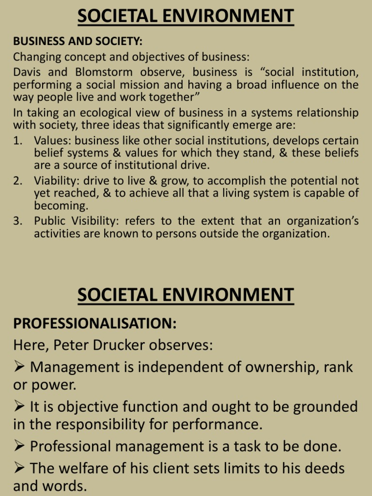Societal Environment | PDF | Business Ethics | Value (Ethics)