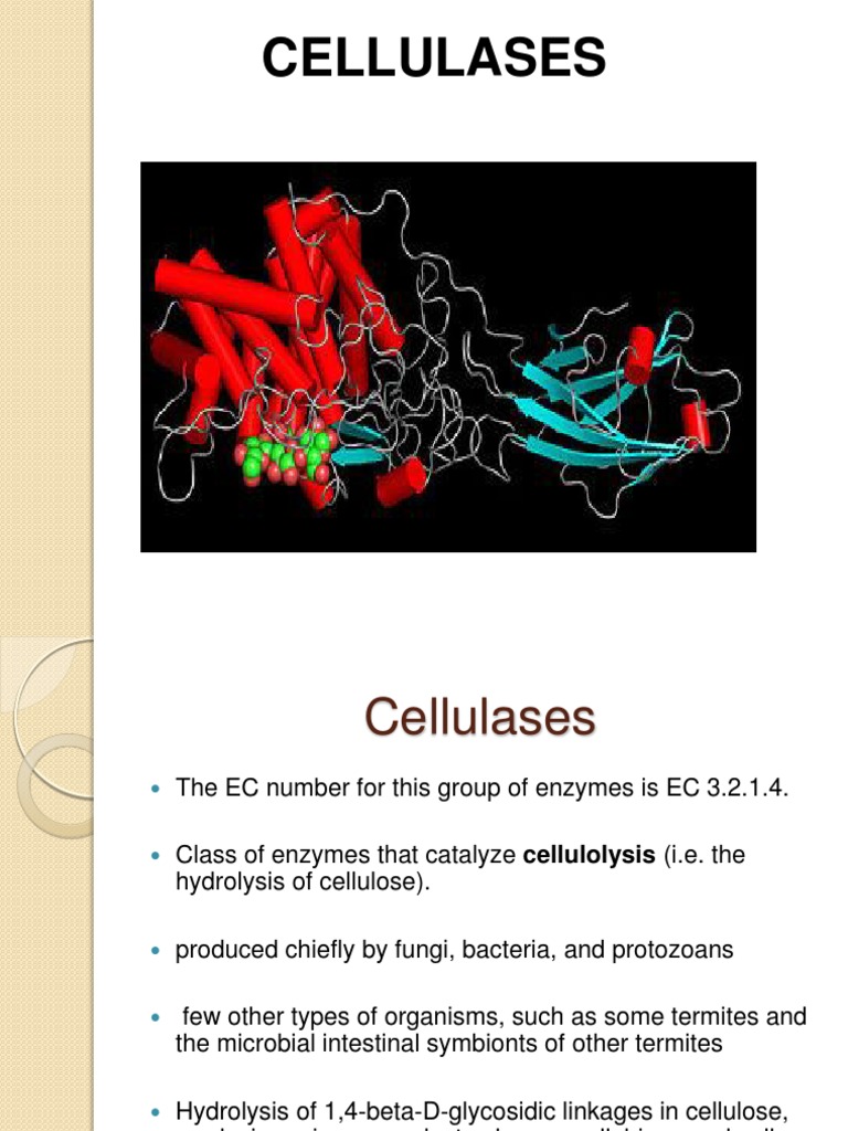 Cellulases | Cellulose | Renewable Fuels