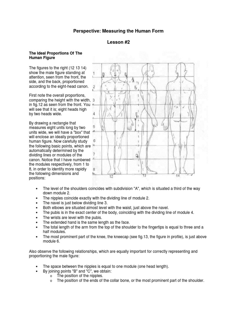 Perspective: Measuring The Human Form Lesson #2 | PDF | Horizon ...