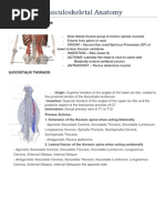 Human Body Weak Points | PDF | Anatomical Terms Of Motion | Anatomy
