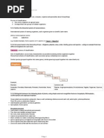 Ib Answer Sheet | PDF