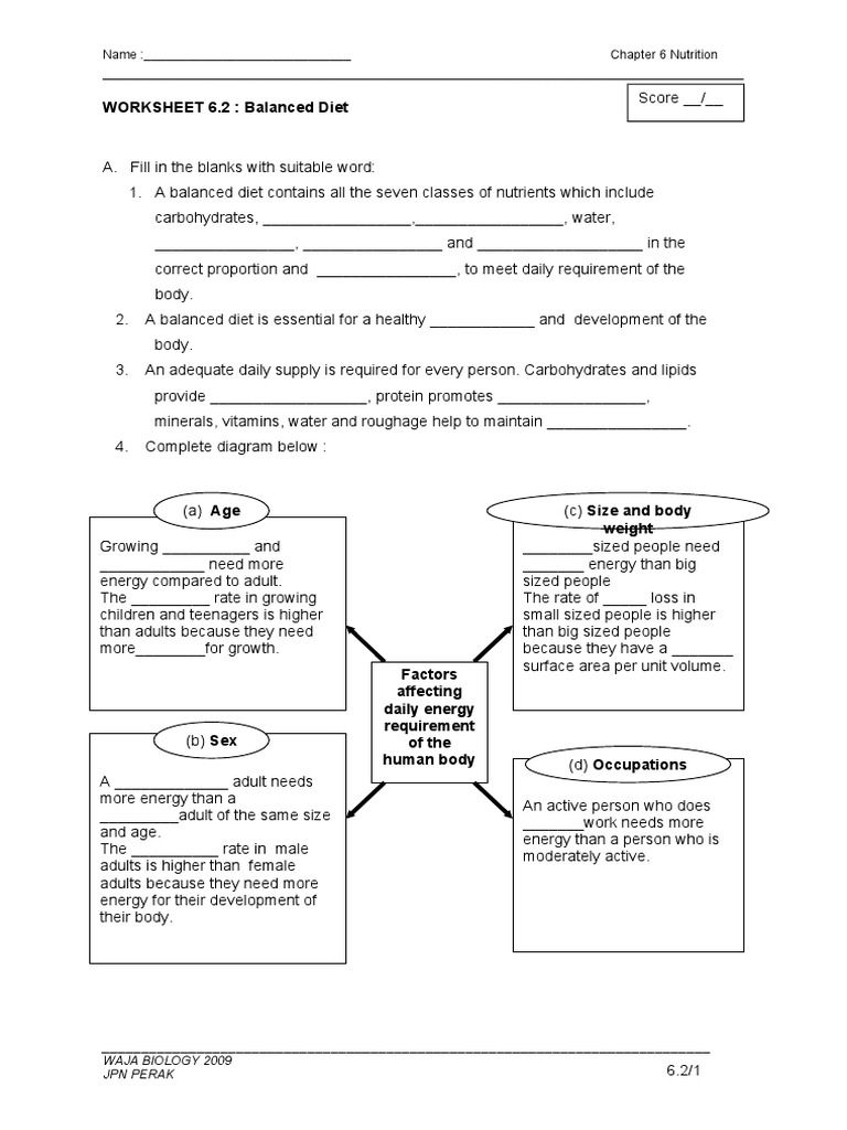 Balanced Diet Worksheet for Students | PDF | Healthy Diet | Nutrition
