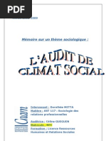Audit Social: Rôle et Méthodologie | PDF | Audit | Gestion des ressources humaines