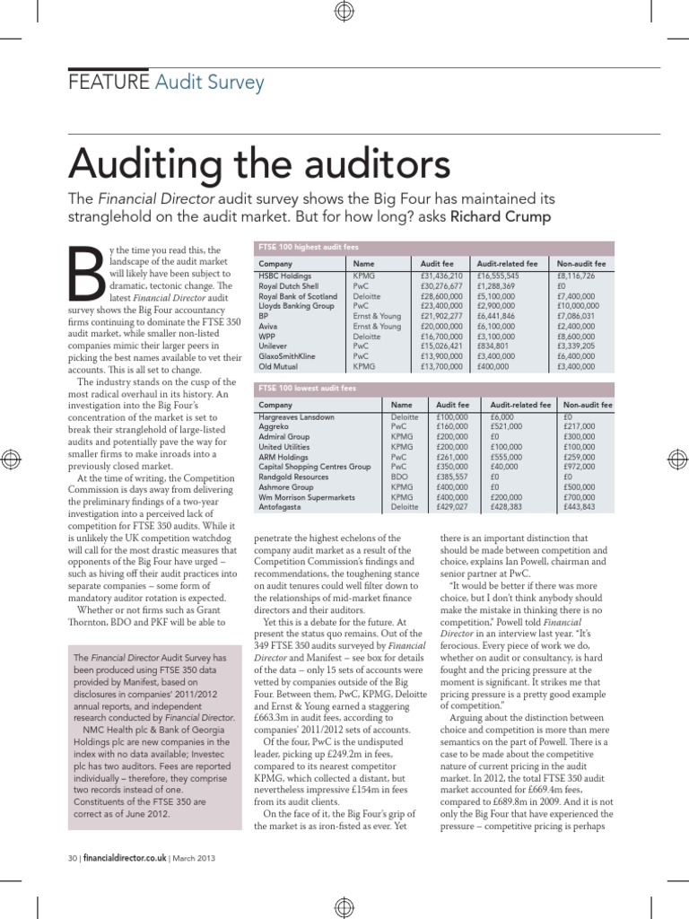 Auditing The Auditors: Audit Survey | PDF | Pricewaterhouse Coopers | Audit