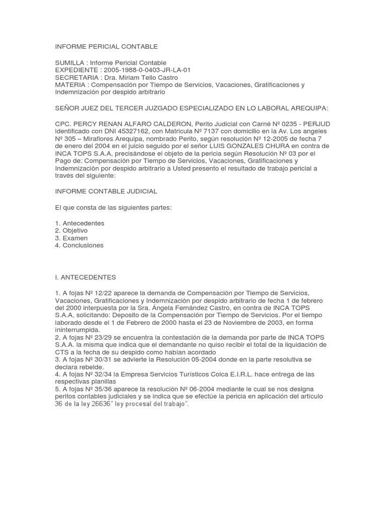 Informe Pericial Contable | PDF | Testigo experto | Procedimiento legal
