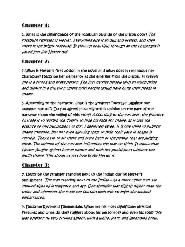 Scarlet Letter Study Guide | PDF | The Scarlet Letter | David