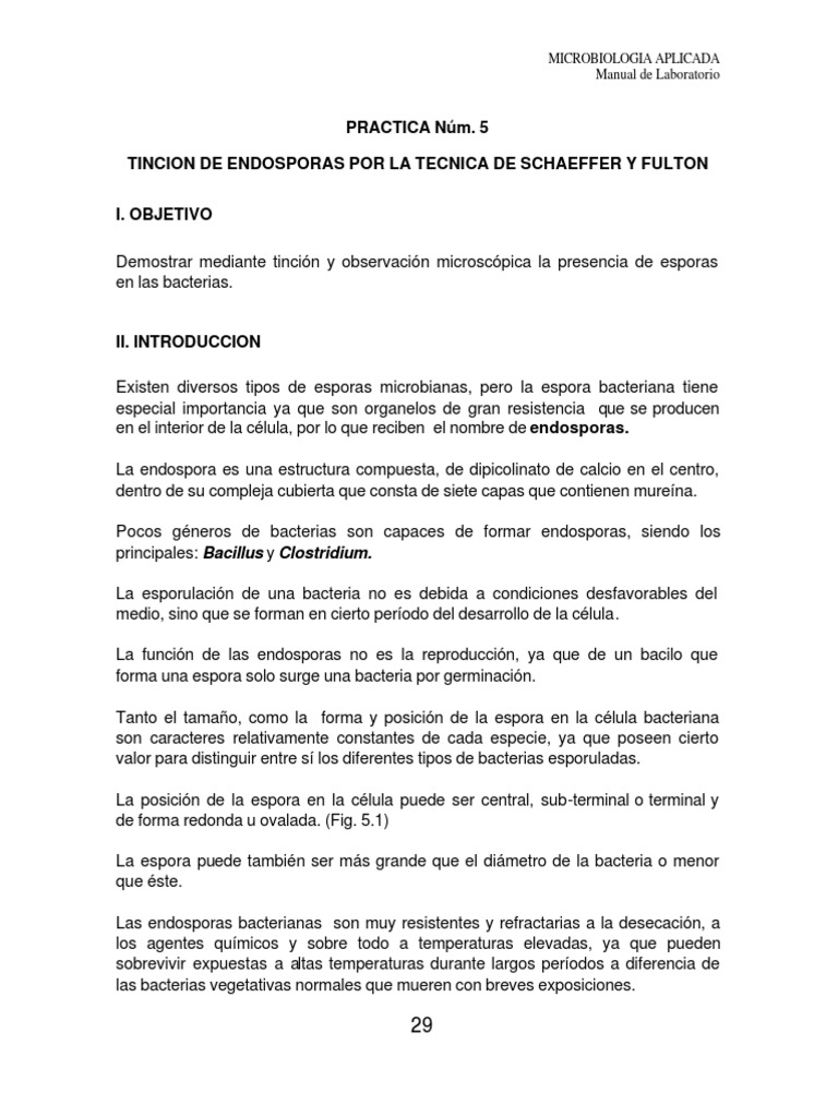Tinción de Endosporas: Técnica Schaeffer-Fulton | PDF | Las bacterias ...