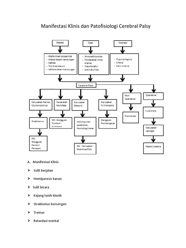 Manifestasi Klinis Dan Patofisiologi Cerebral Palsy | PDF | Kesehatan Holistik | Sains & Matematika