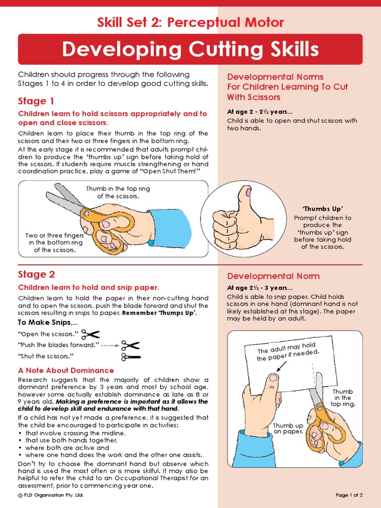 Developing Cutting Skills | PDF | Scissors | Behavioural Sciences