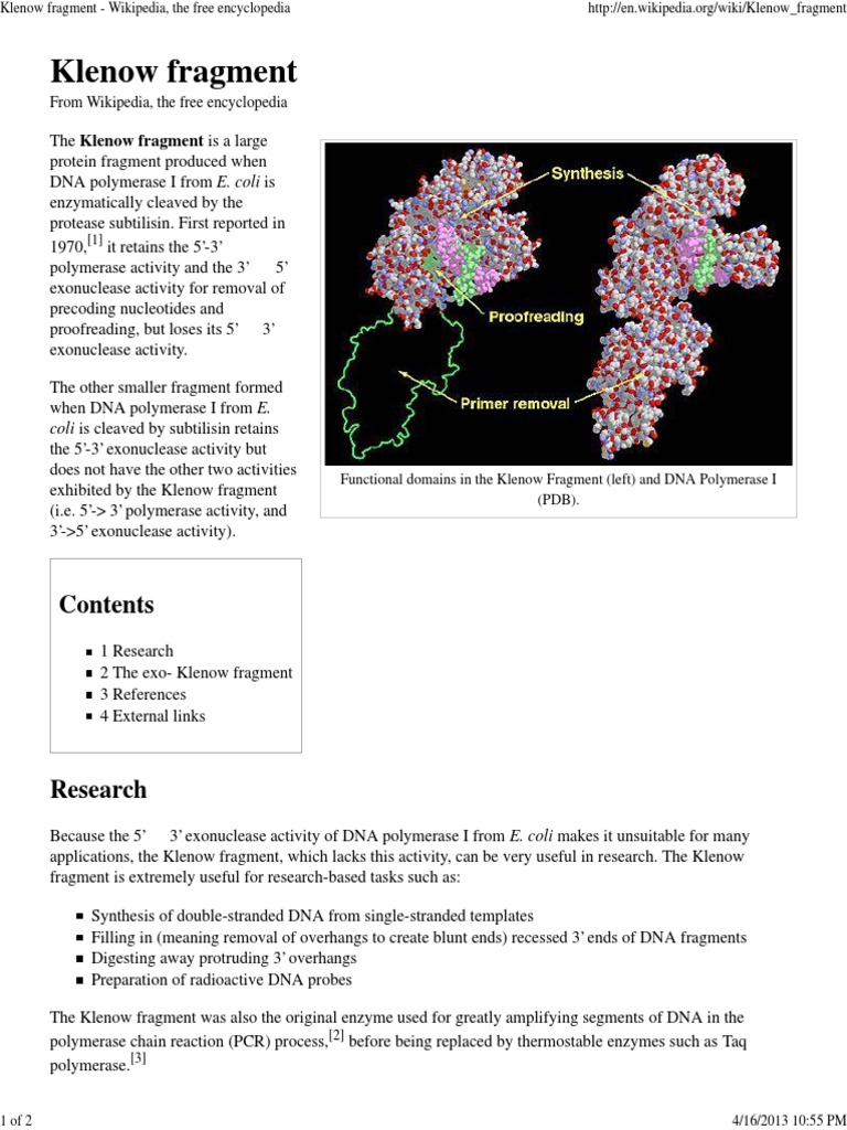 Klenow Fragment - Wikipedia, The Free Encyclopedia | PDF | Macromolecules | Dna Replication