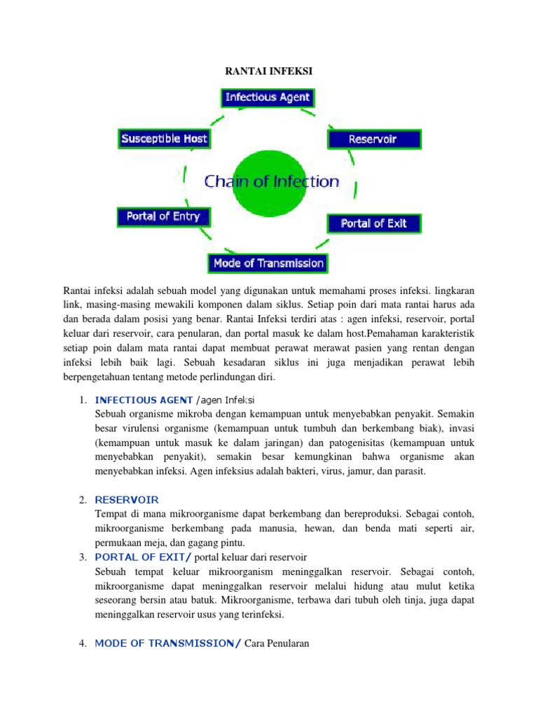 Rantai Infeksi Epidemiologi | PDF