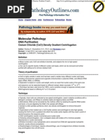 pET-28 A (+) - Addgene Vector Database (Plasmids, Expression Vectors ...