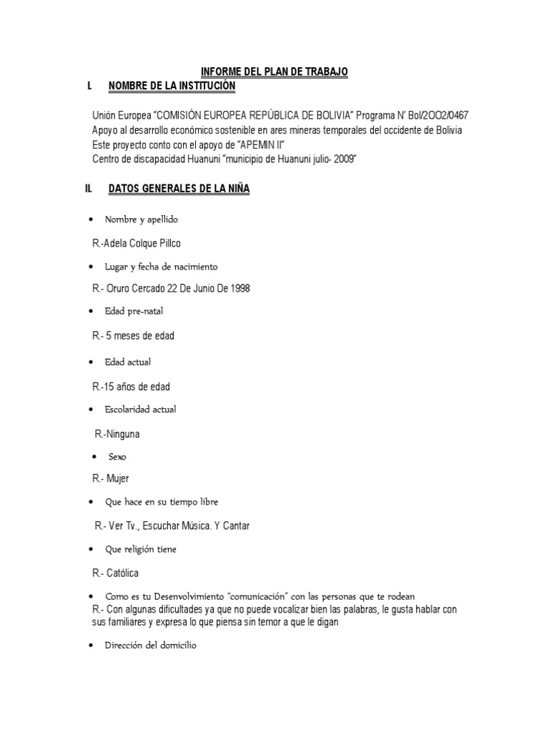 Formato de Informe | PDF | Lápiz