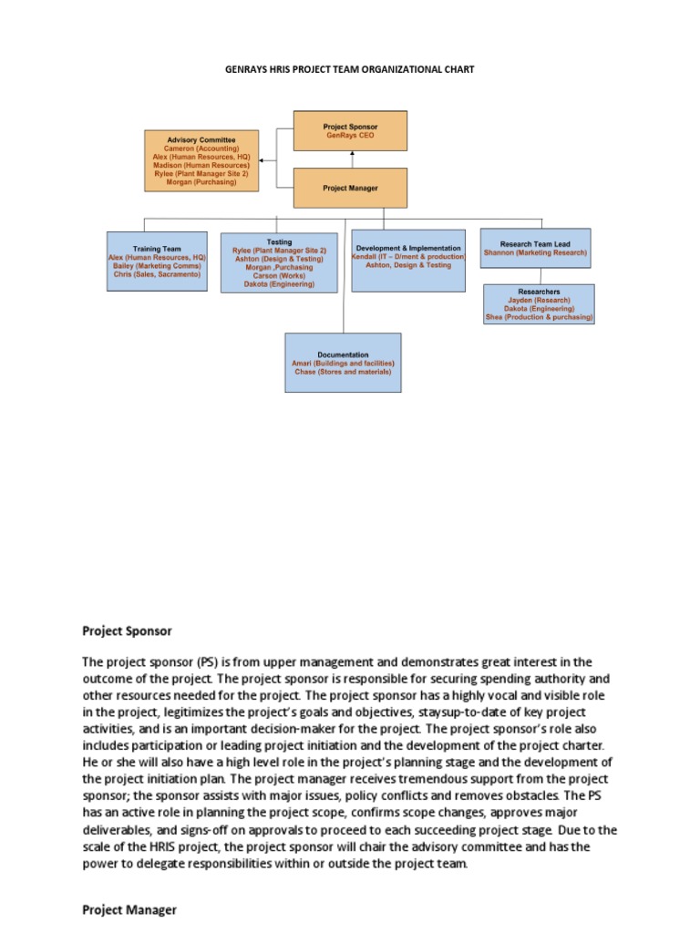 HRIS Project Team Structure Overview | PDF | Project Manager | Expert