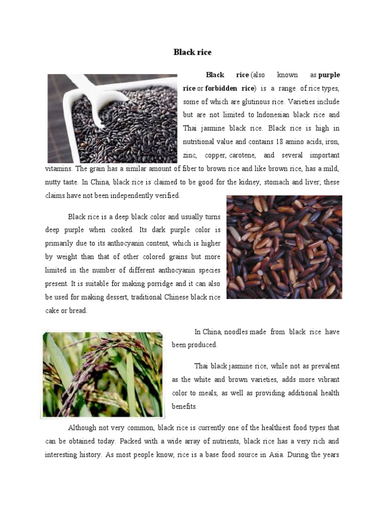 Black Rice | PDF | Rice | Dietary Fiber