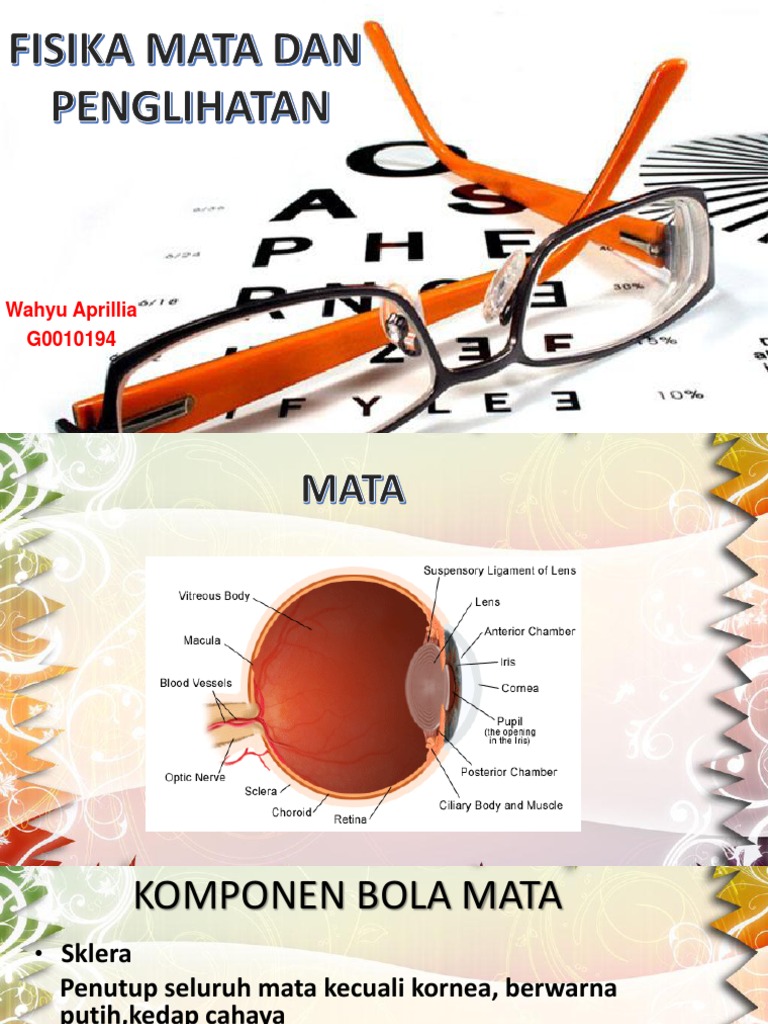 Komponen dan Fungsi Mata Manusia | PDF | Sains & Matematika