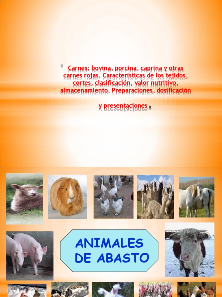 Características y clasificación de las carnes rojas y blancas ...