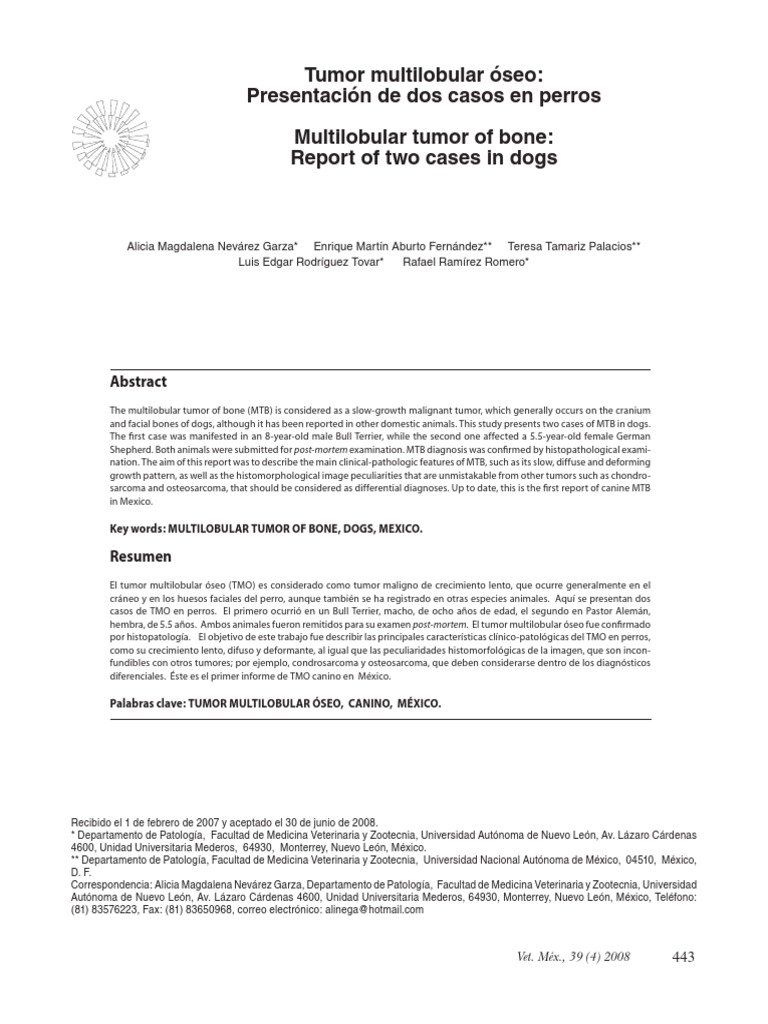 Tumor Multilobular Oseo | PDF | Especialidades Medicas | Neoplasias