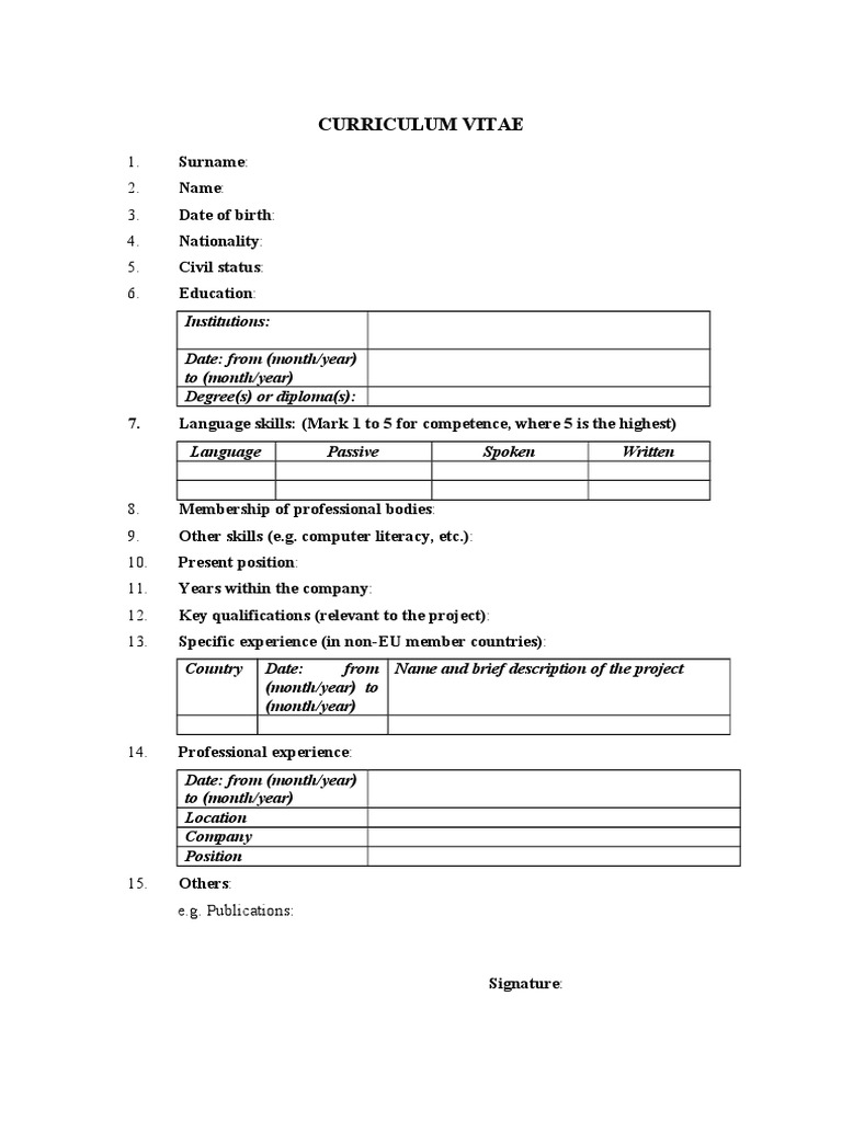 Comprehensive CV Template Guide | PDF