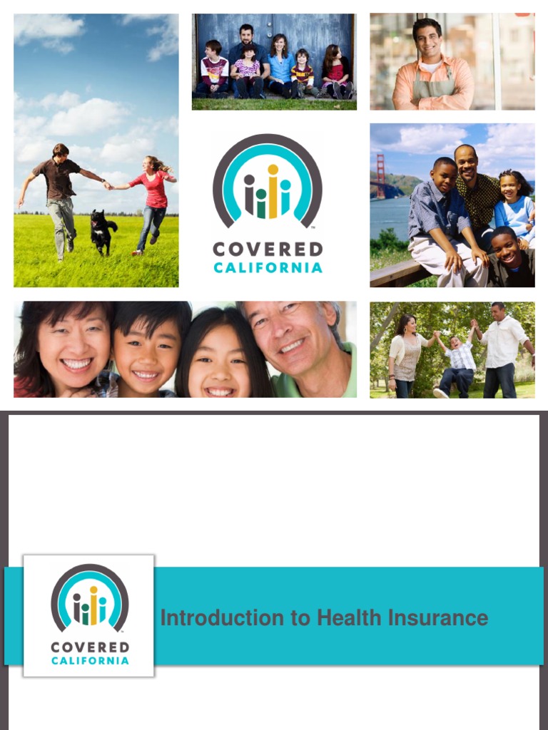 Health Insurance Basics Overview | PDF | Managed Care | Health ...